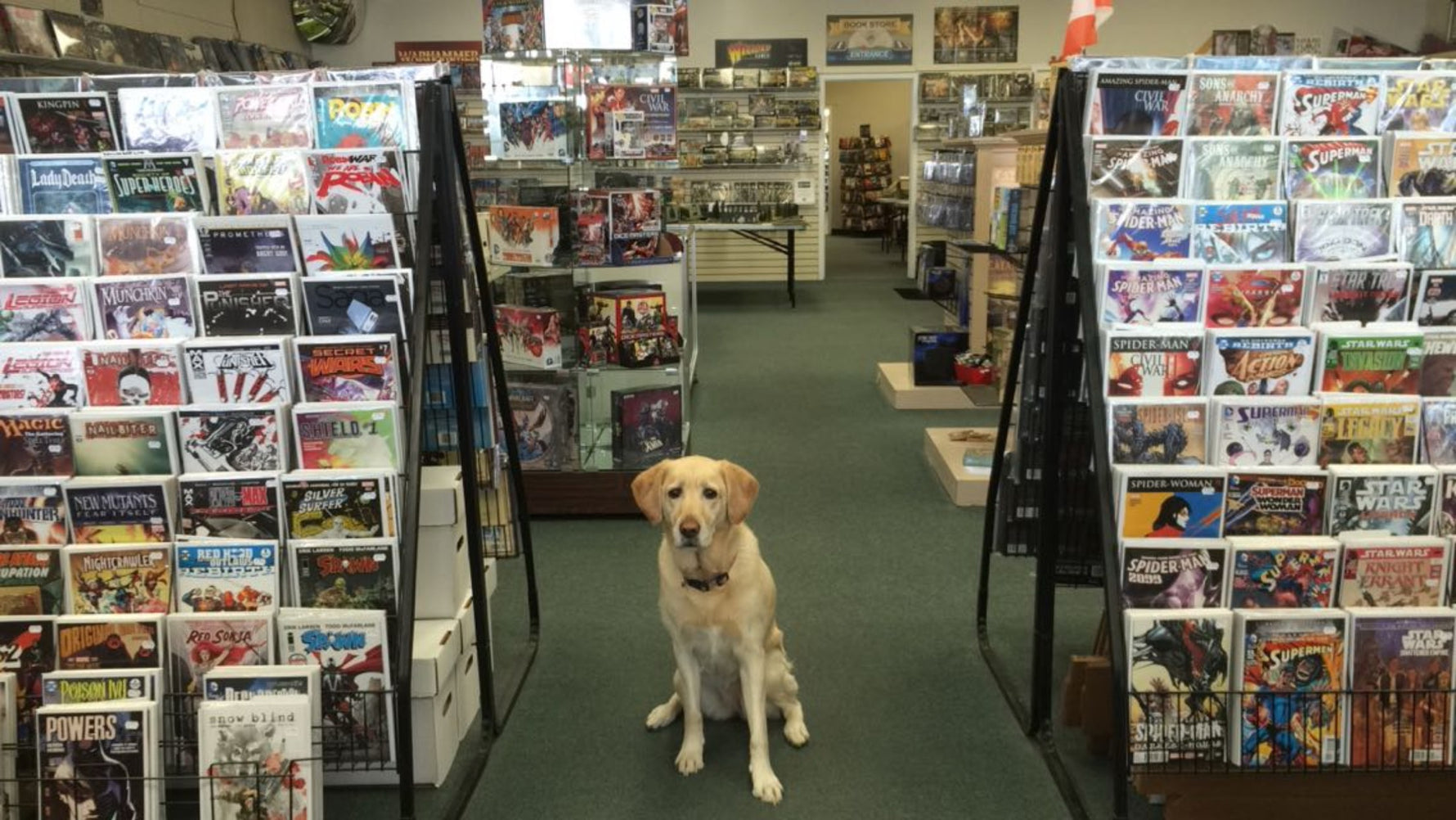 J&B BOOKS-CARDS COMICS GAMING COLLECTABLES – J&B Books